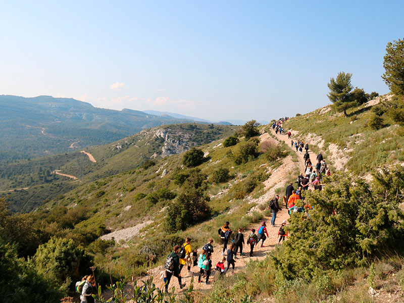Nature, forêt et paysage - Métropole Aix-Marseille-Provence